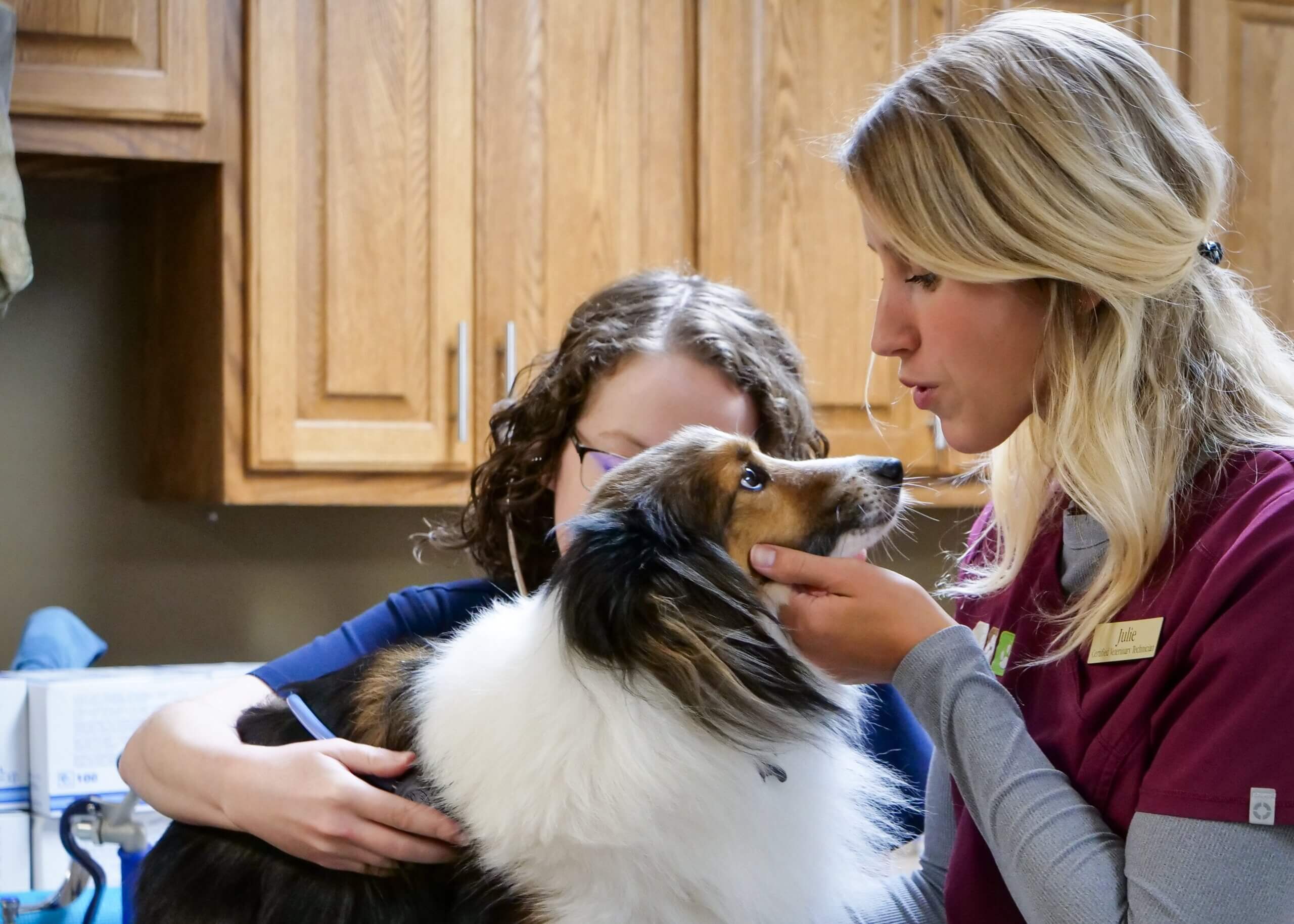 Pet Preventive Care | Eau Claire Animal Hospital