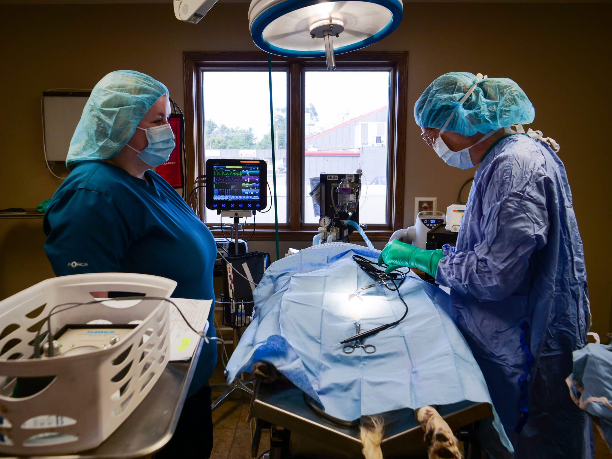 Veterinary Surgical Services | Eau Claire Animal Hospital