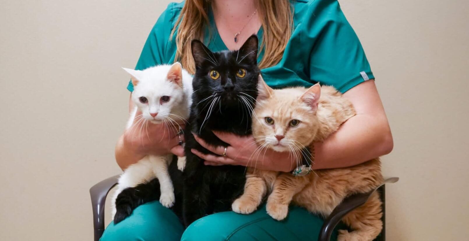 Pet Health App - Eau Claire Animal Hospital