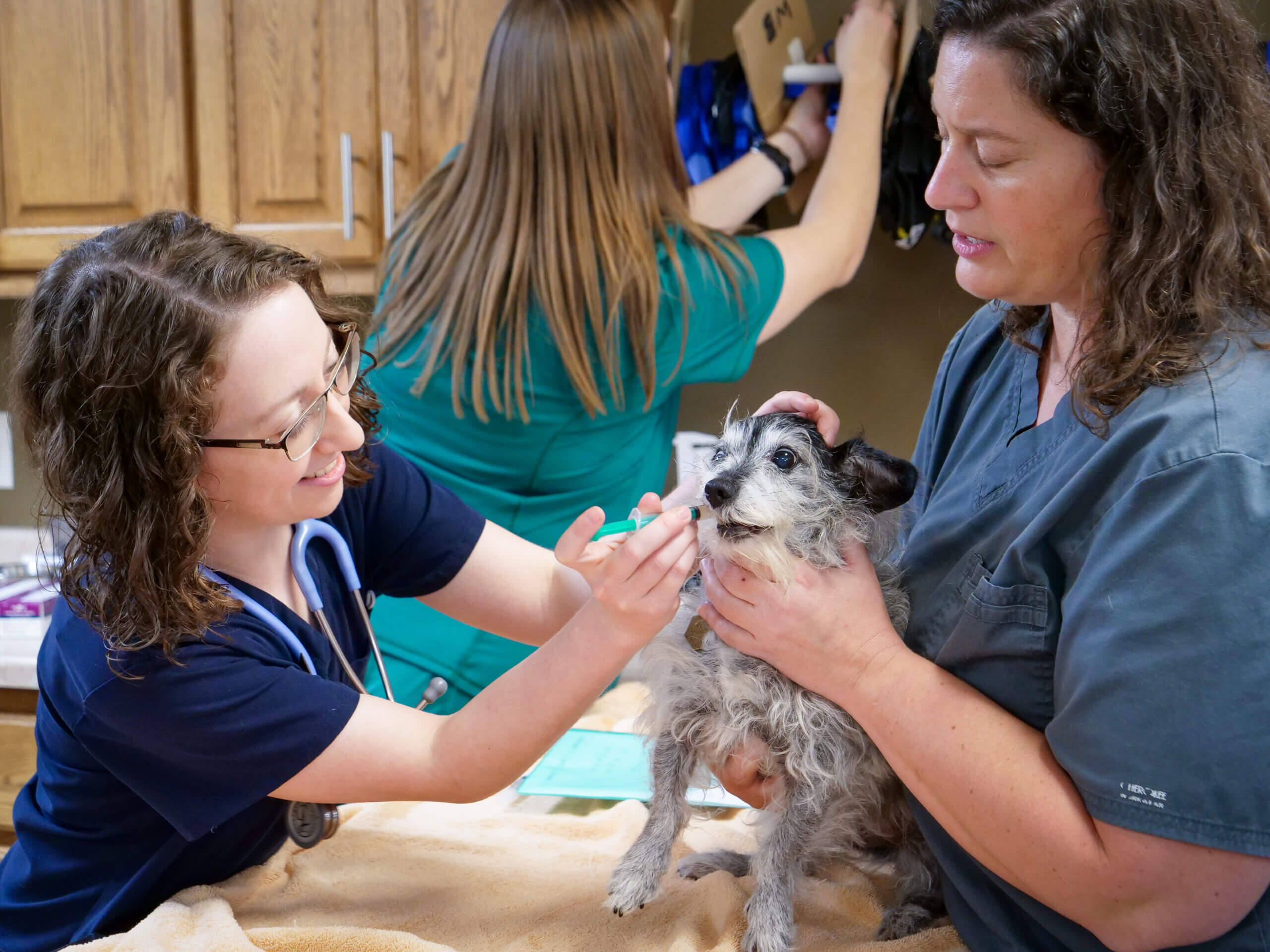 Veterinary Technician Eau Claire Animal Hospital